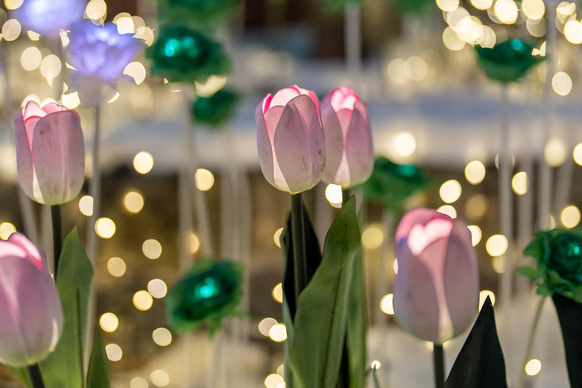 Creatrip: [Sold out] Gapyeong Eobigyegok Ice Valley + Nami Island + Garden of Morning Calm ...