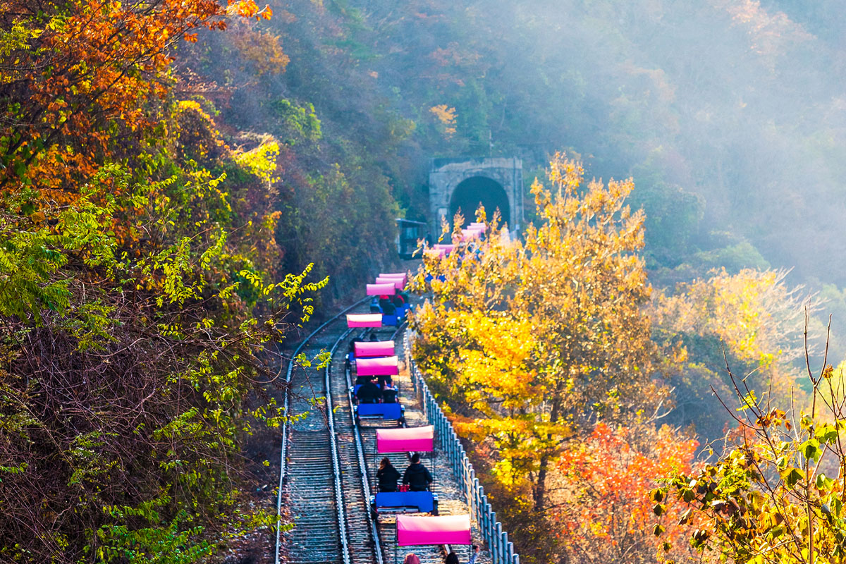 Creatrip: [Sold out] Gapyeong Eobigyegok Ice Valley + Nami Island + Garden of Morning Calm ...